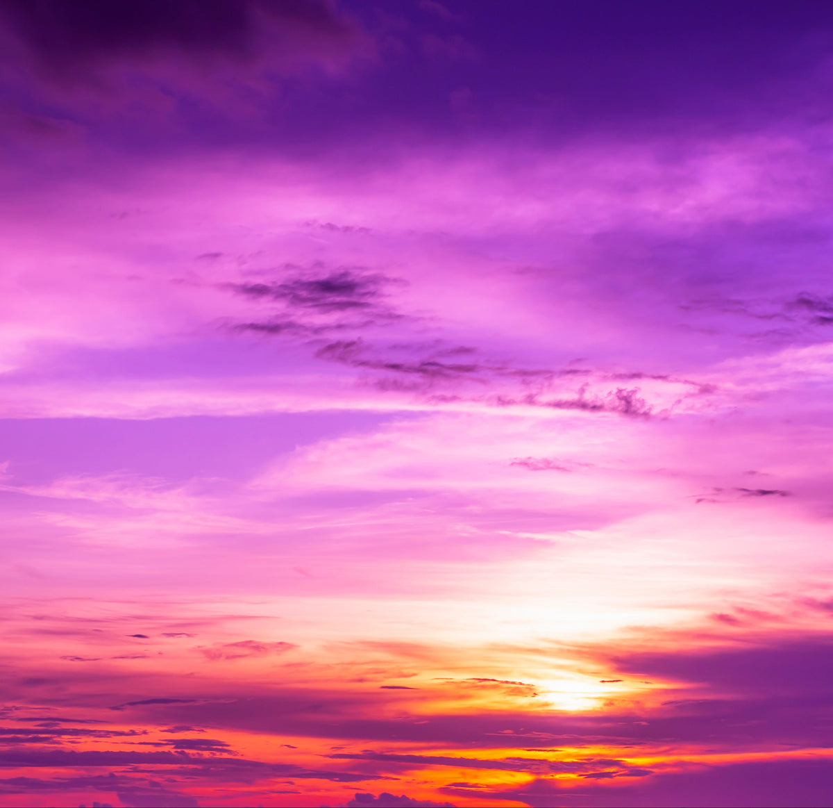 Summer Sunset Fragrance Oil | Designed with a Twist